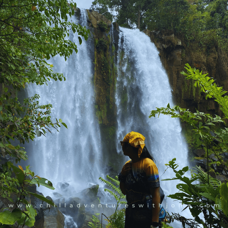 Discover Mindamora Falls: A Hidden Paradise for Your Next # ...