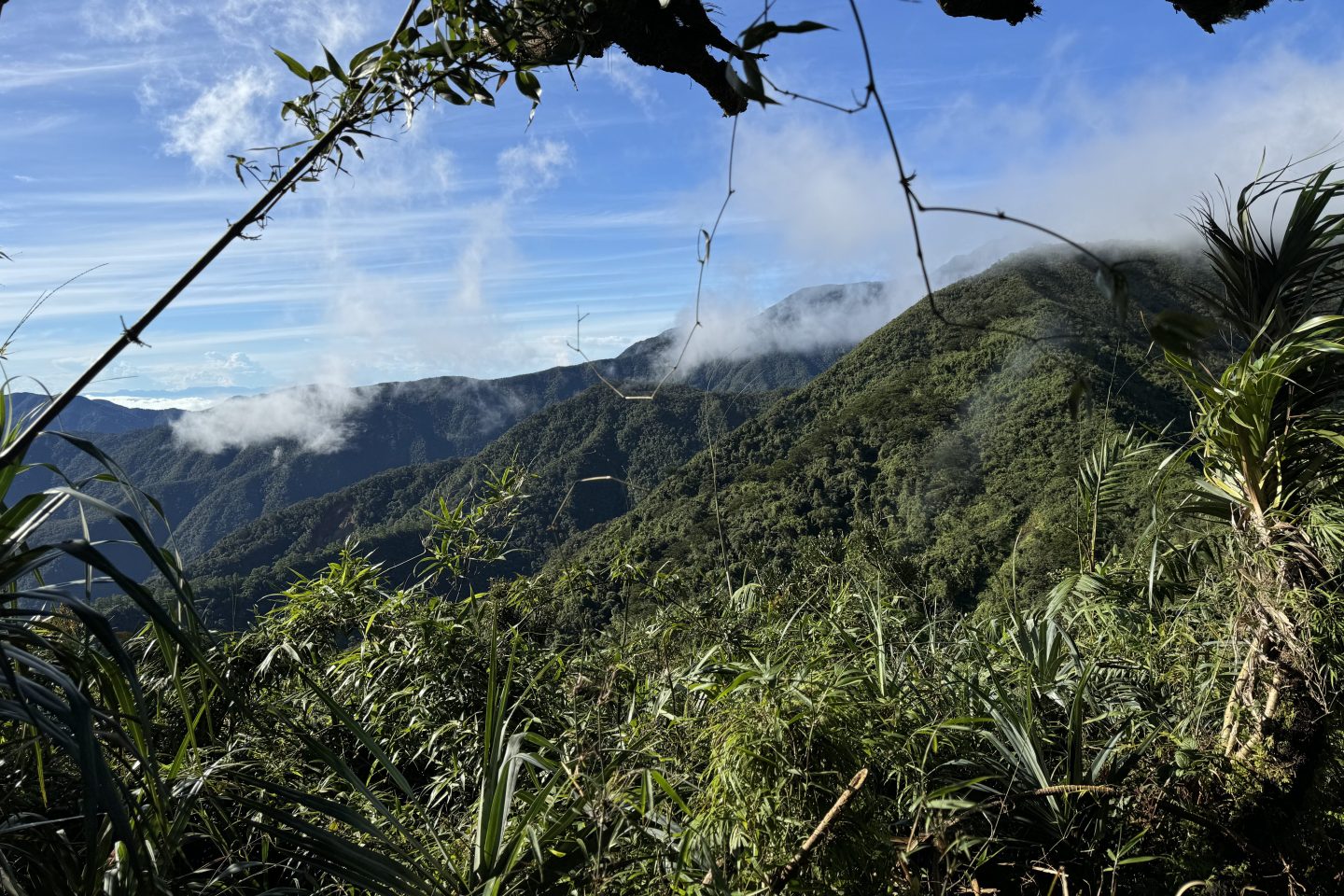 A Chill Adventure Hike to Mount Sicapoo, via Apayao Trail – Chill ...