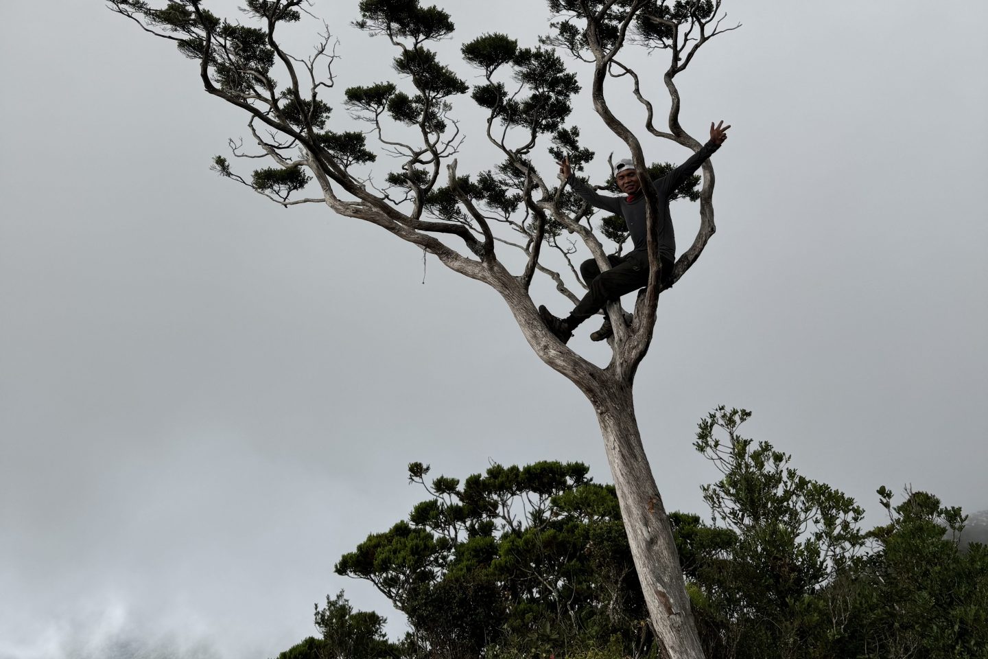 A Chill Adventure Hike to Mount Sicapoo, via Apayao Trail – Chill ...
