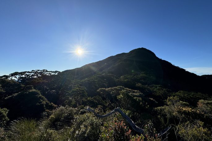 A Chill Adventure Hike to Mount Sicapoo, via Apayao Trail – Chill ...