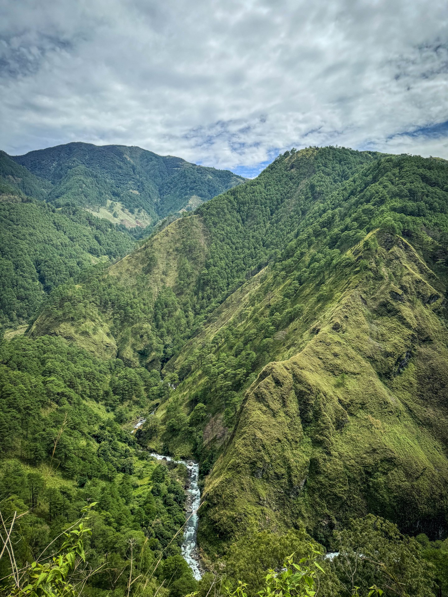 Is Akiki Really a Killer Trail? A Chill Adventure to Mt. Pulag via ...
