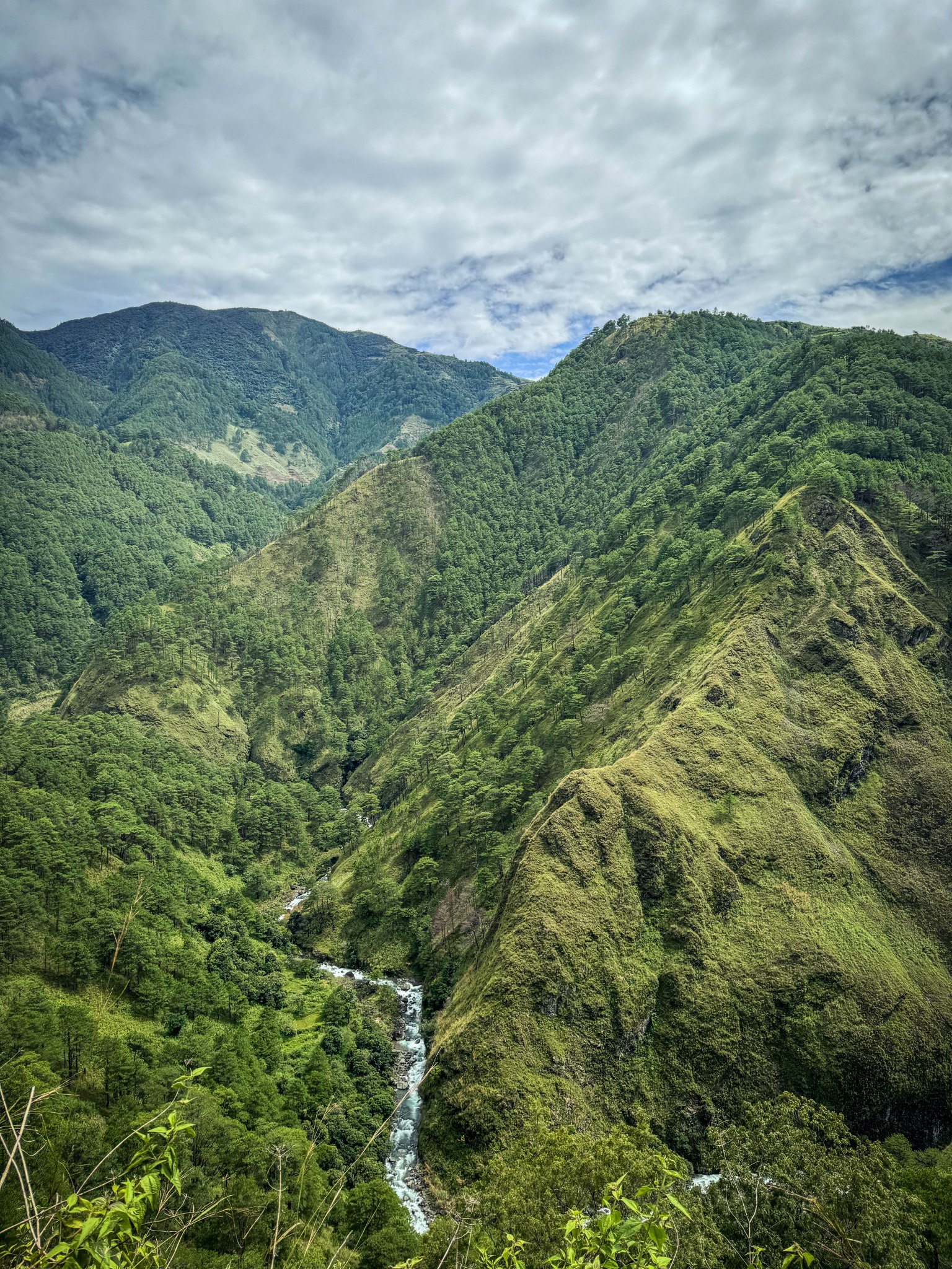 Is Akiki Really a Killer Trail? A Chill Adventure to Mt. Pulag via ...