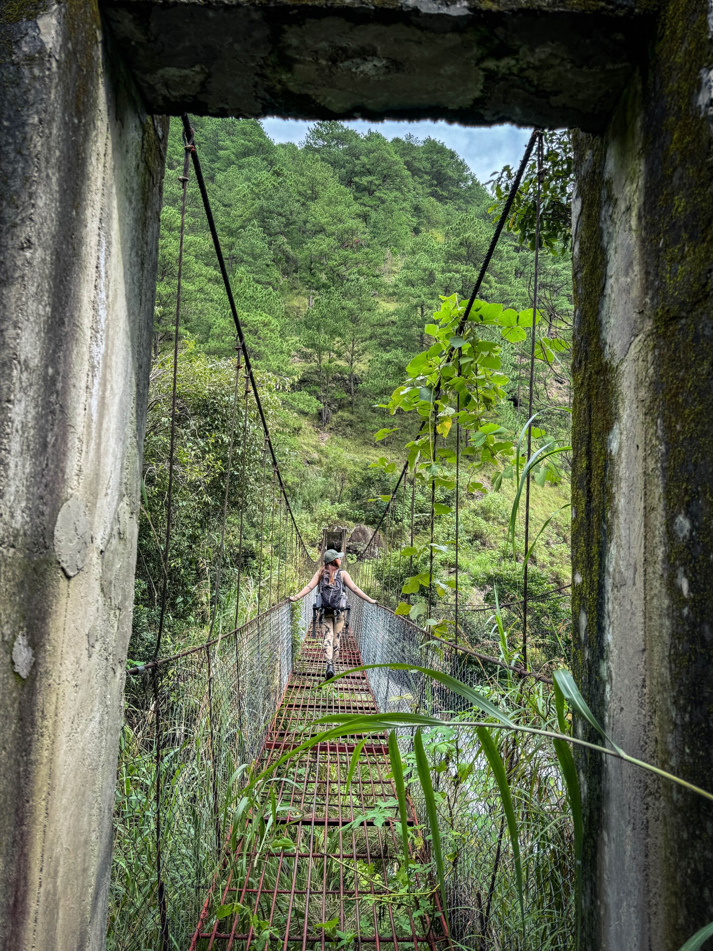 Is Akiki Really a Killer Trail? A Chill Adventure to Mt. Pulag via ...
