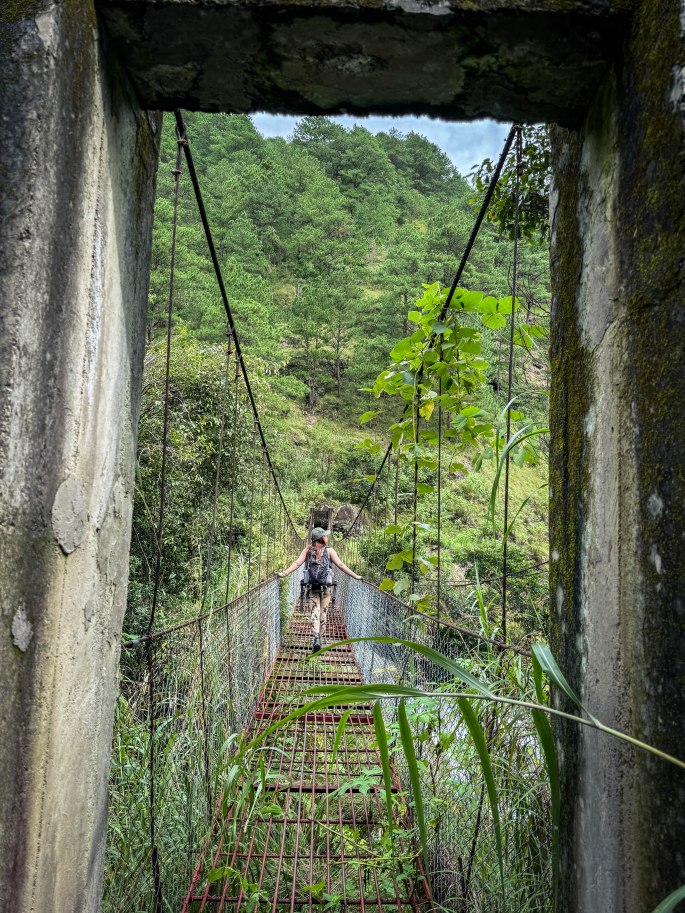 Is Akiki Really a Killer Trail? A Chill Adventure to Mt. Pulag via ...