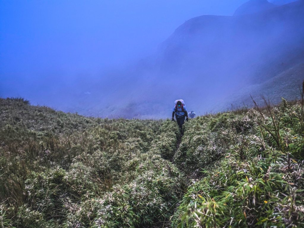 Is Akiki Really a Killer Trail? A Chill Adventure to Mt. Pulag via ...