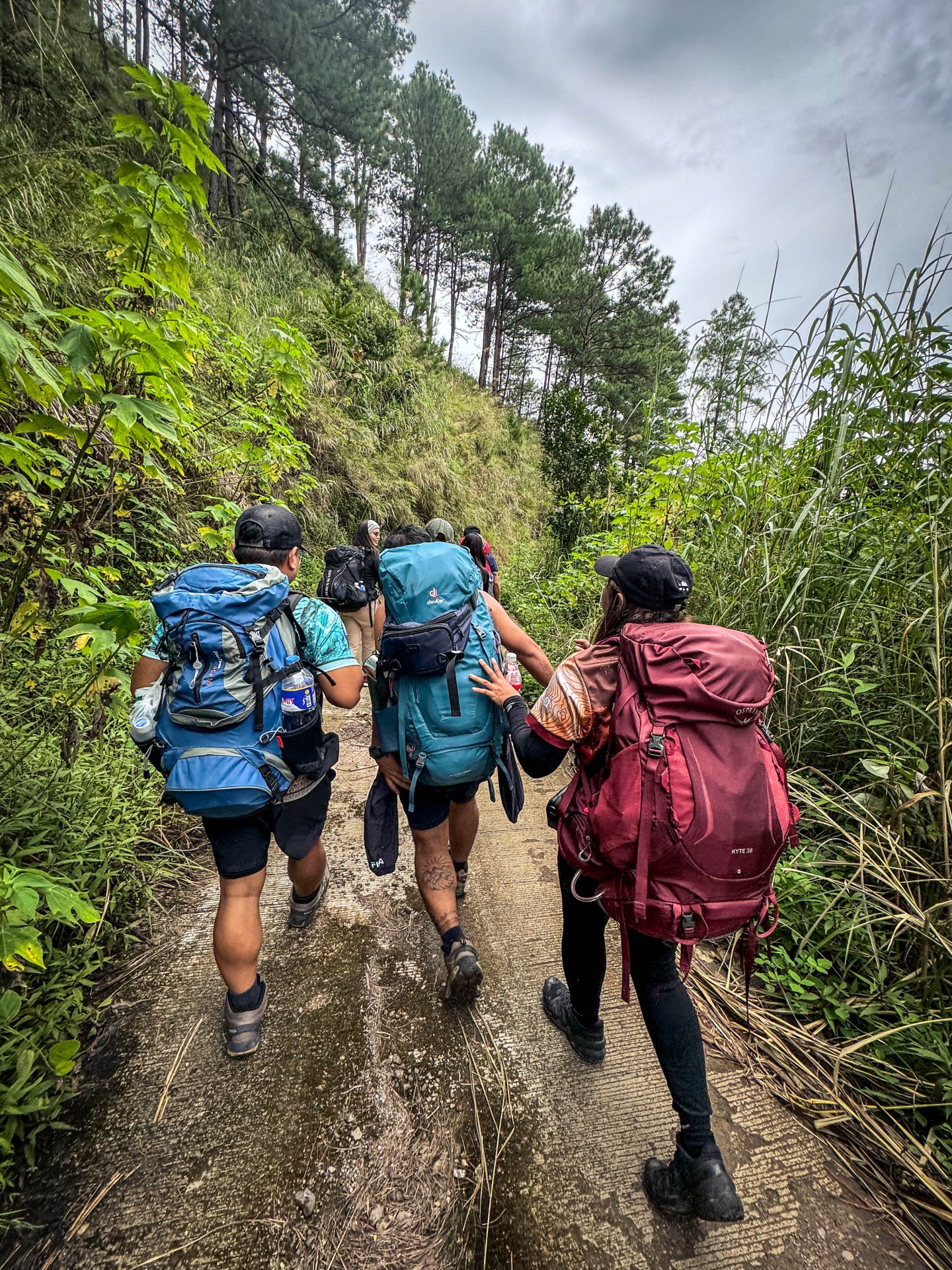 Is Akiki Really a Killer Trail? A Chill Adventure to Mt. Pulag via ...