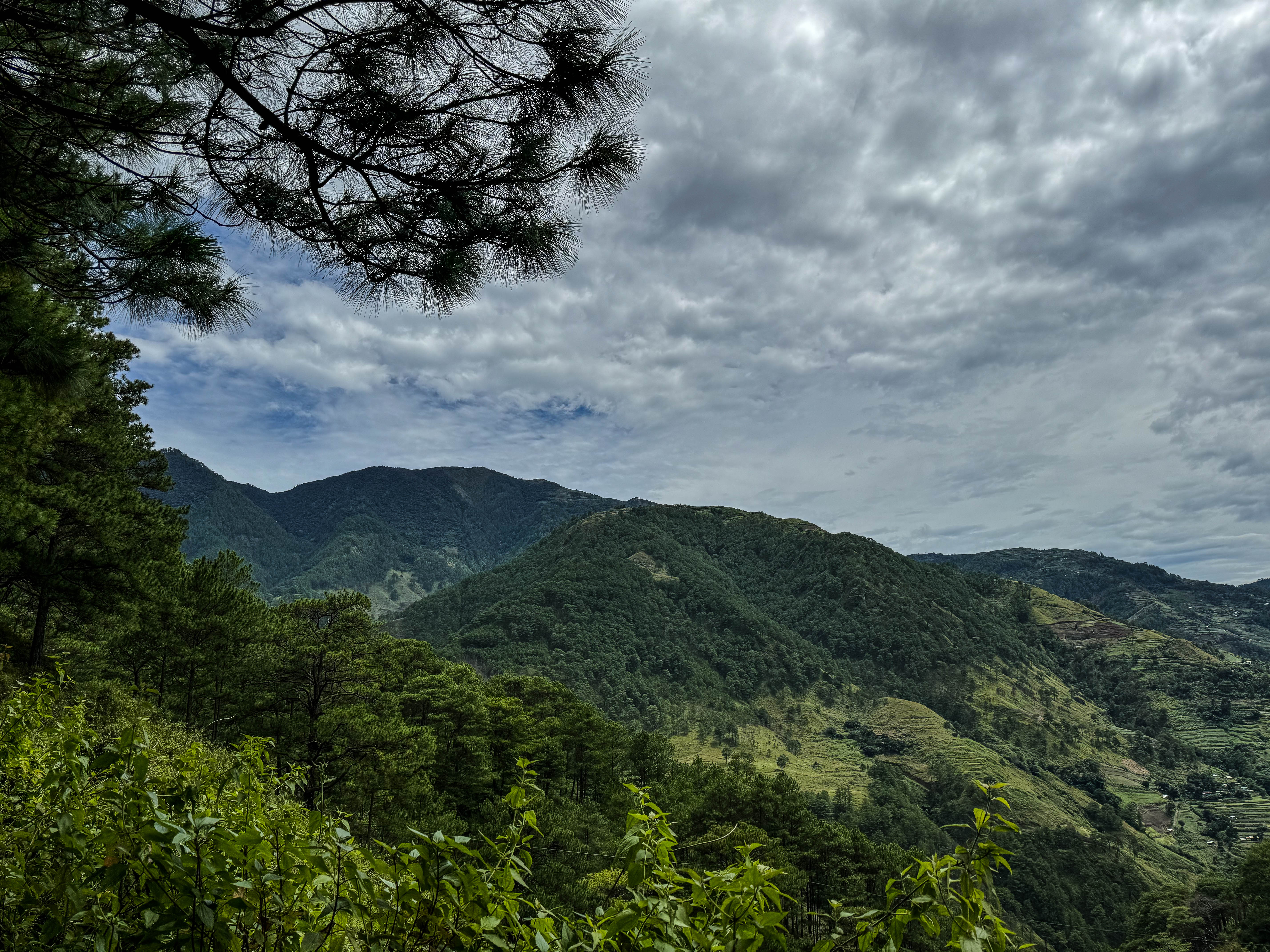 Is Akiki Really a Killer Trail? A Chill Adventure to Mt. Pulag via ...