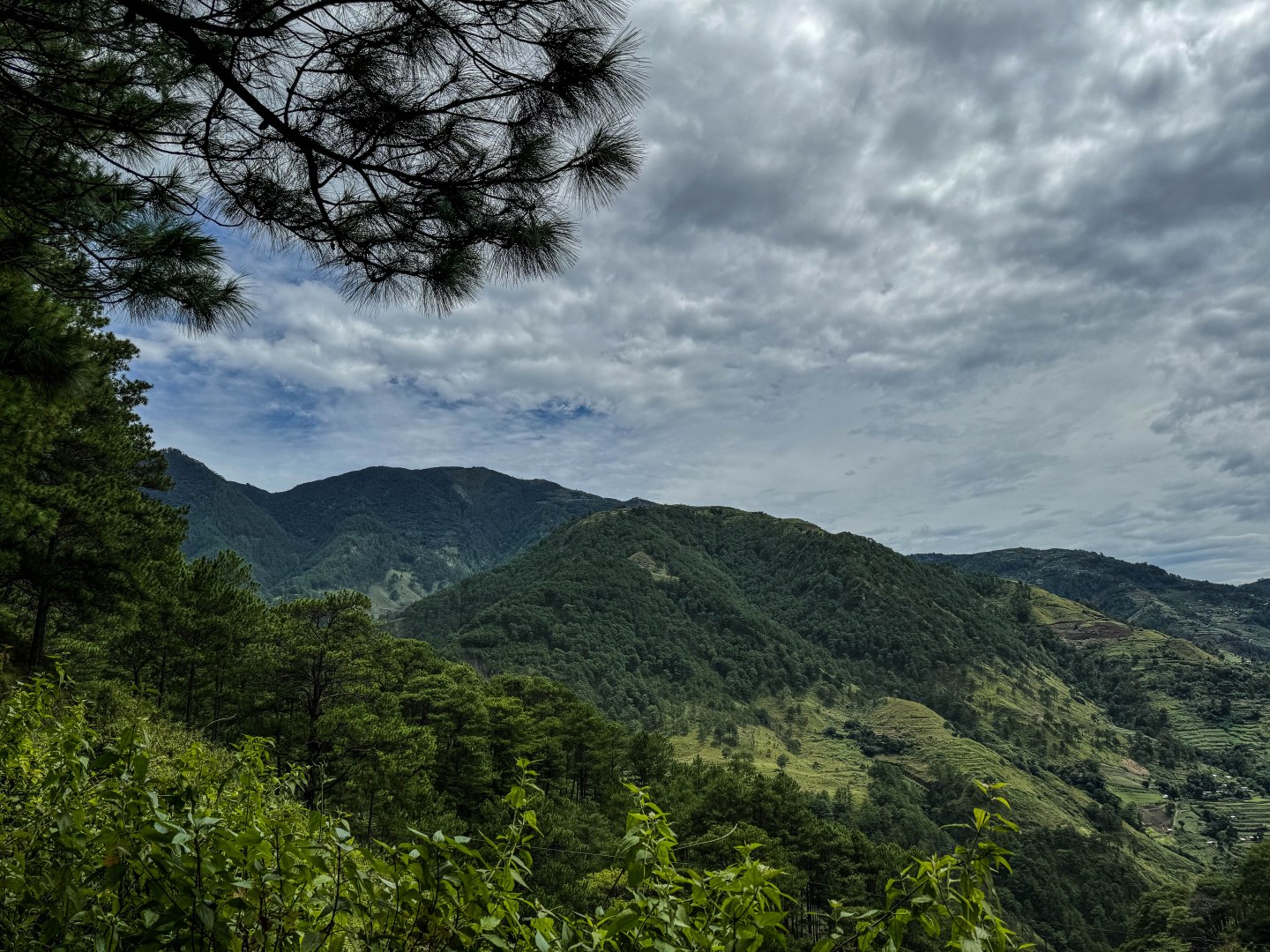 Is Akiki Really a Killer Trail? A Chill Adventure to Mt. Pulag via ...