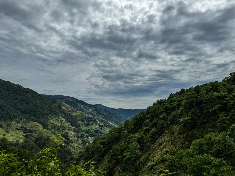 Is Akiki Really a Killer Trail? A Chill Adventure to Mt. Pulag via ...