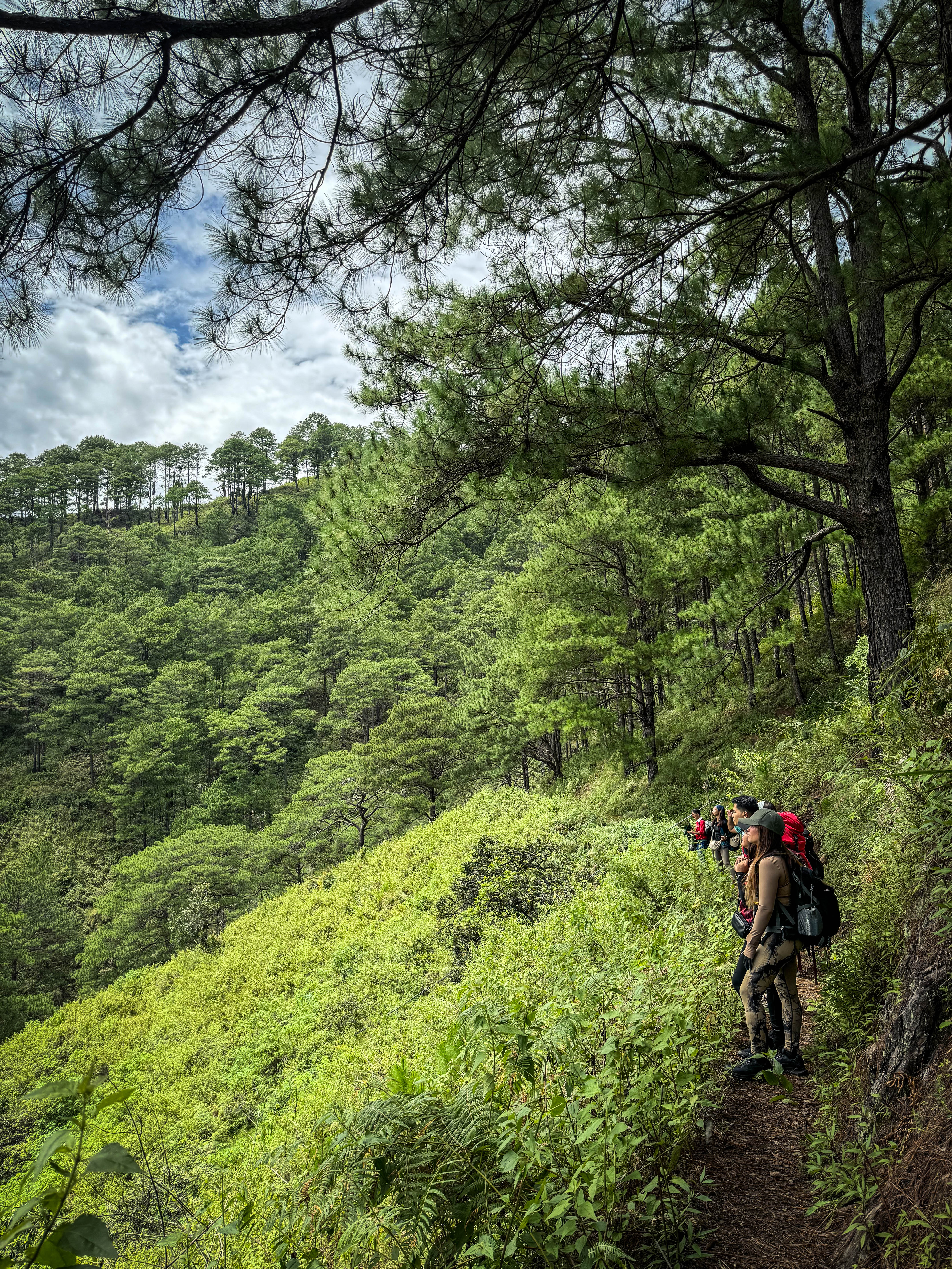Is Akiki Really a Killer Trail? A Chill Adventure to Mt. Pulag via ...