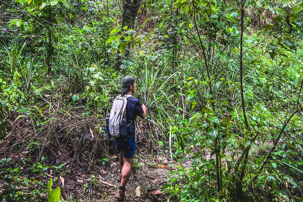 Chasing North Luzon’s Wild Trails: The Hike That Tested My Limits ...