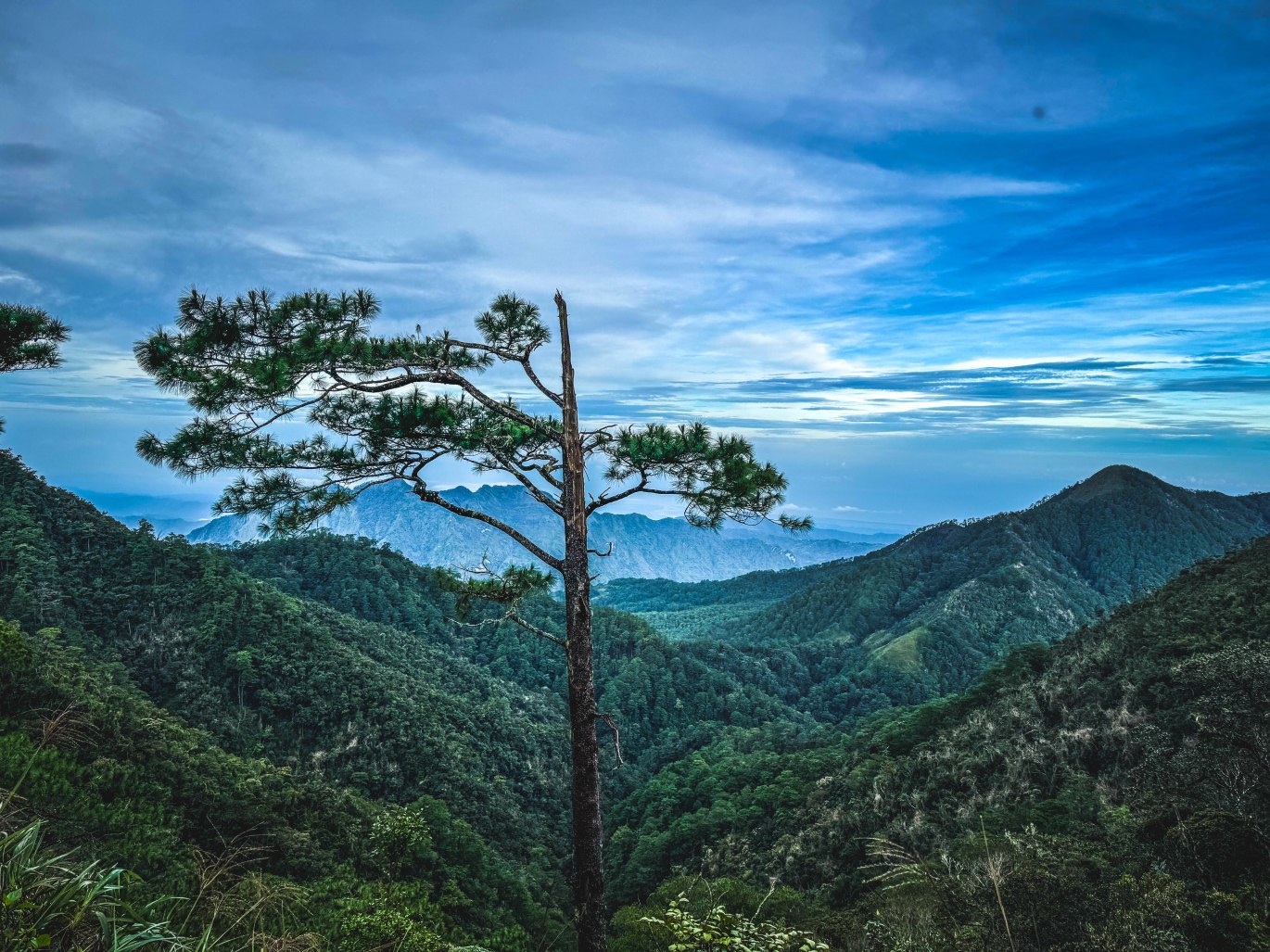 Chasing North Luzon’s Wild Trails: The Hike That Tested My Limits ...